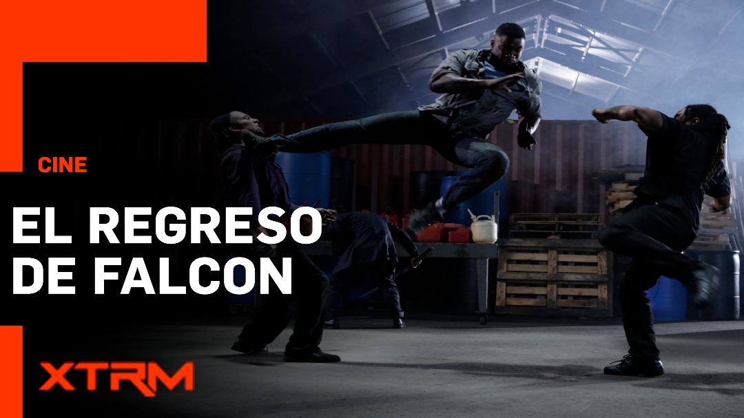 El regreso de Falcon - AMC SELEKT